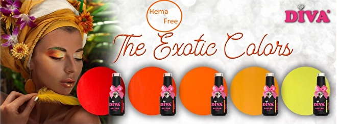 Diva Gellak 10ml | V'Nails Machelen